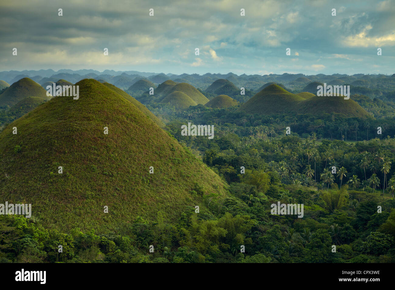 Bohol philippines hi-res stock photography and images - Alamy