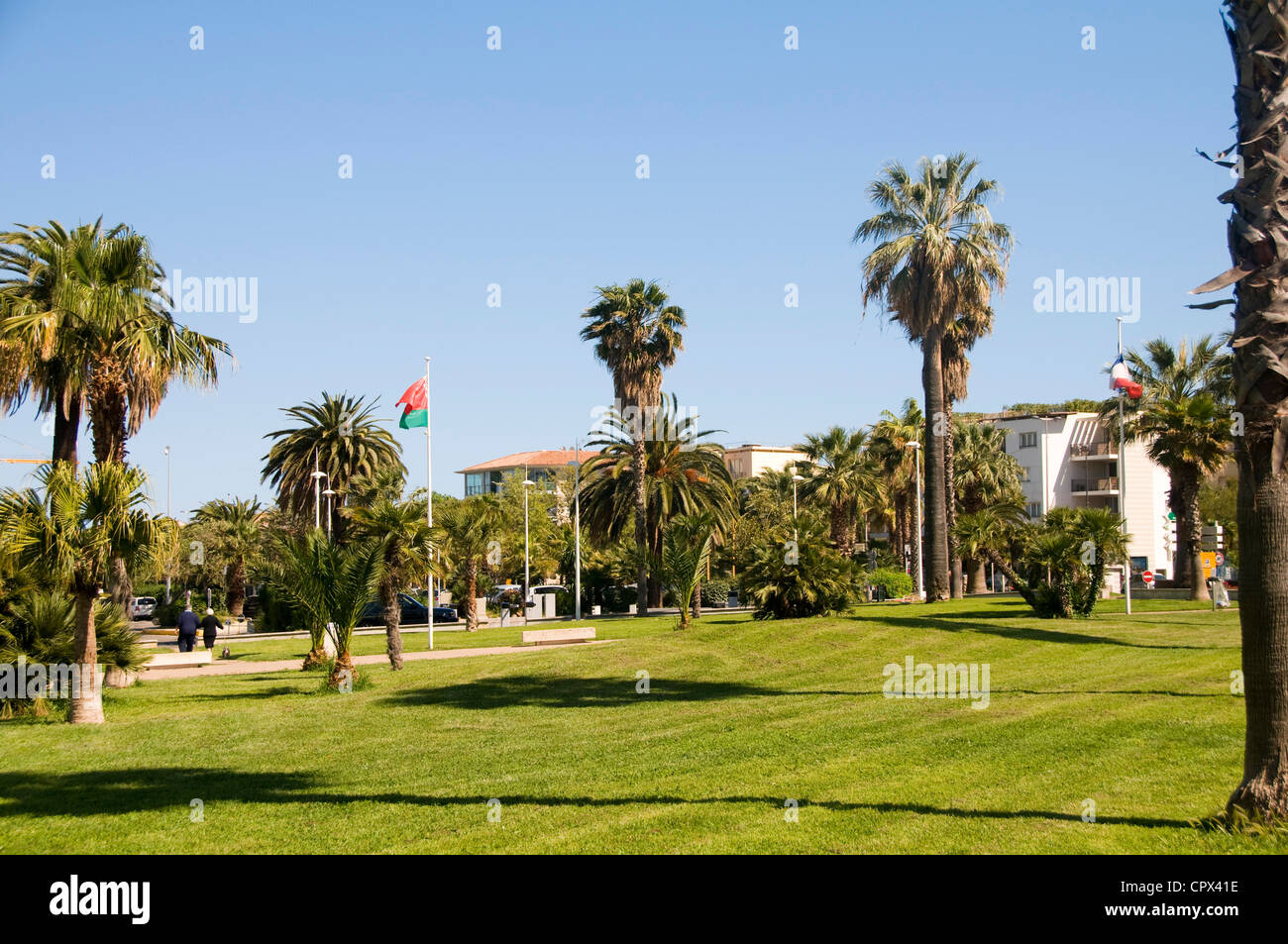 outdoor garden park coconut trees Antibes France French Riviera Cotes d ...