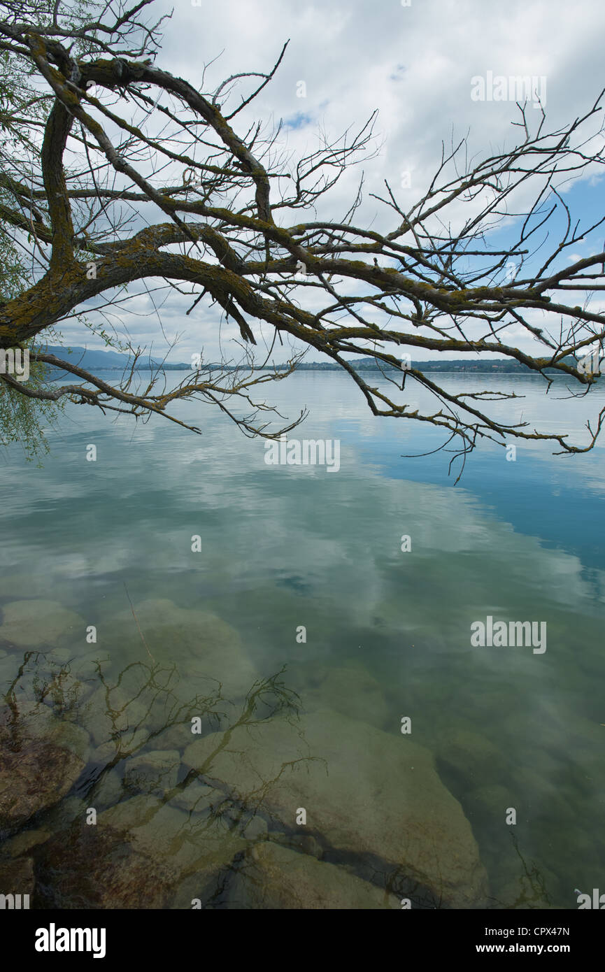 The Lake of Biel/Bienne in Stwitzerland. Clouds and an old tree hang ...