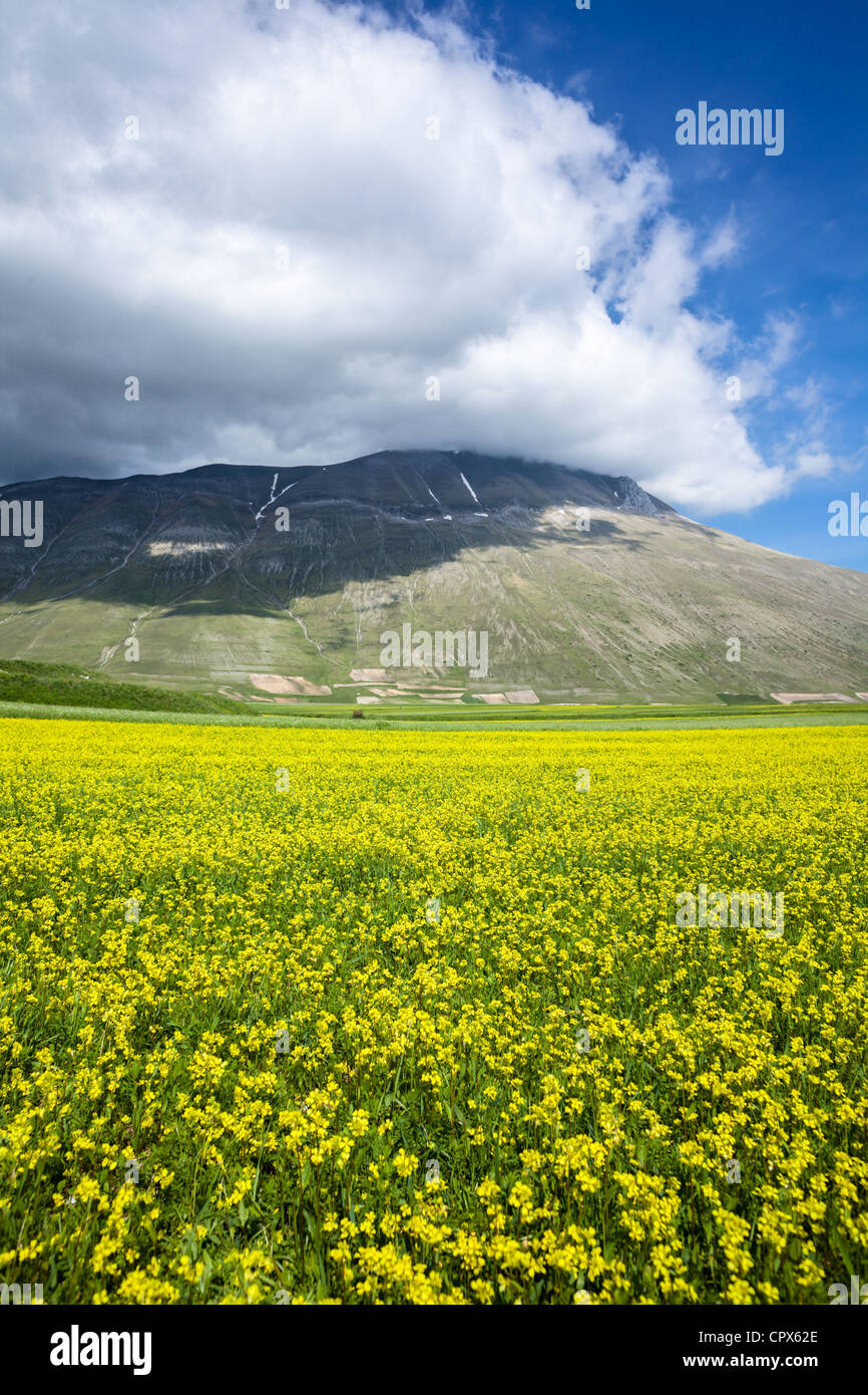Castelluccio norcia lentils hi-res stock photography and images - Alamy