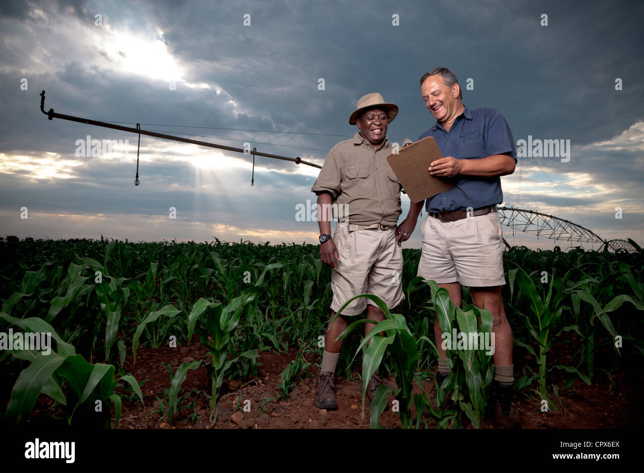 Two farmers stand in a field of crops, looking at a clipboard Stock ...