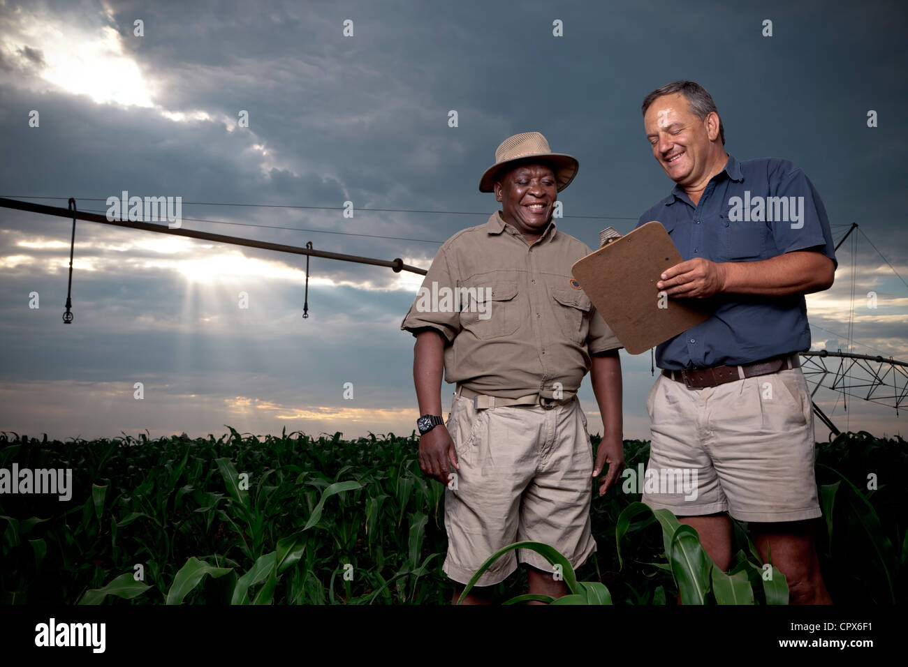 Two farmers stand in a field of crops, looking at a clipboard Stock ...