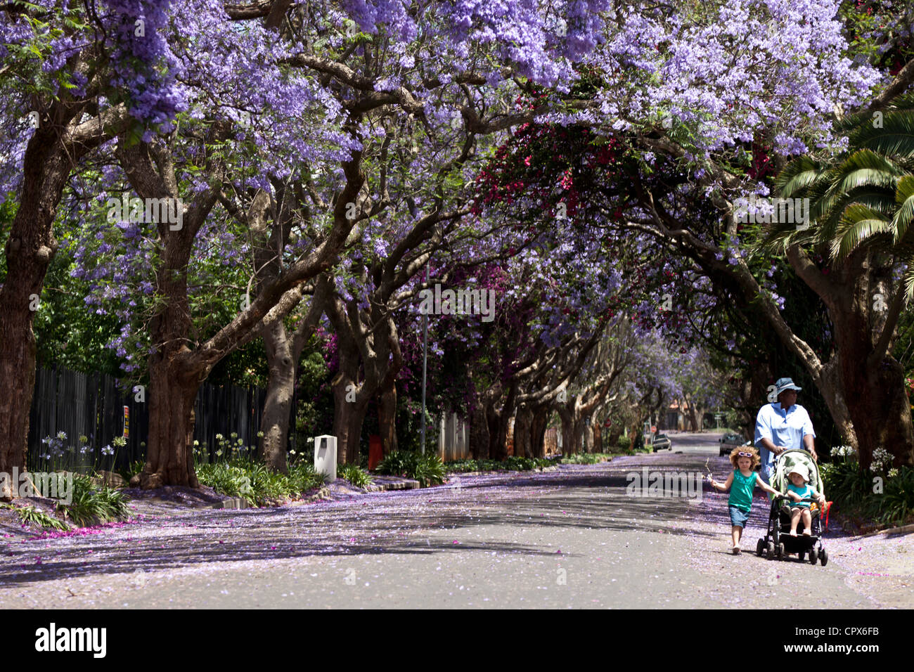 Domestic worker walking with children through suburban area Stock Photo ...