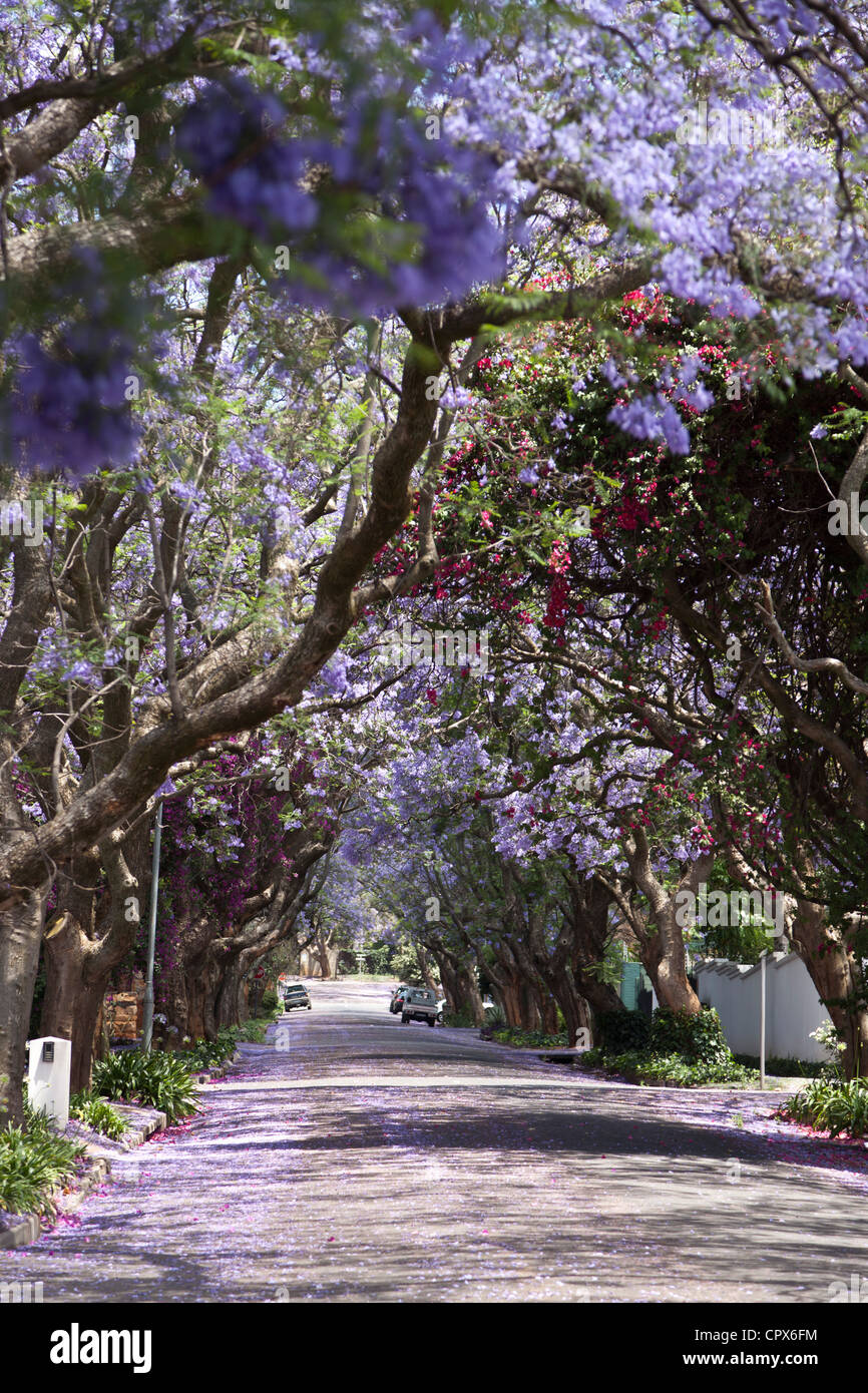 Outside trees hi-res stock photography and images - Alamy