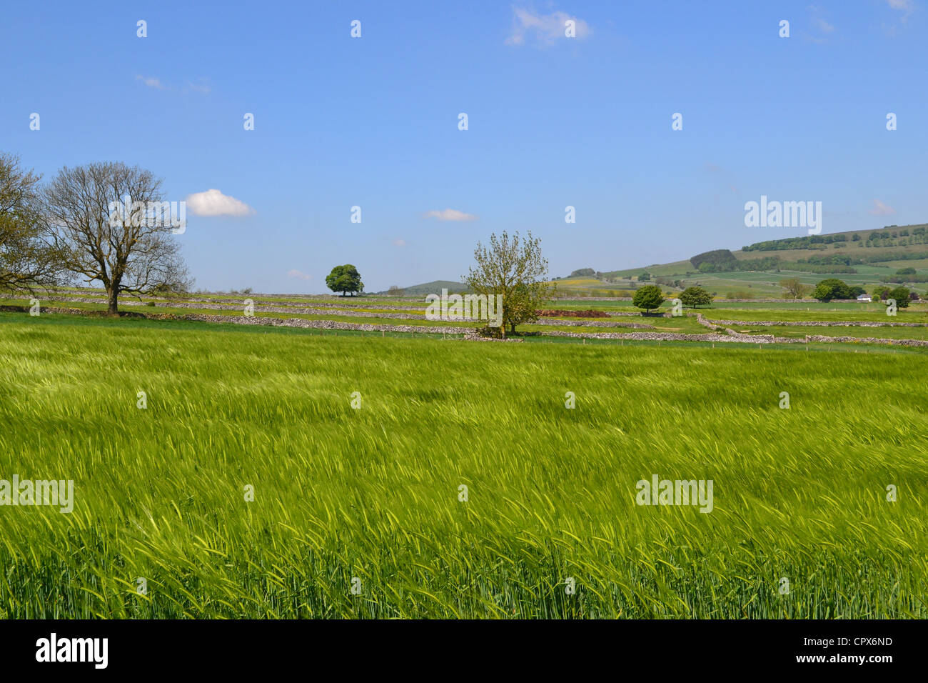 Calendar with british beautiful nature hi-res stock photography and ...