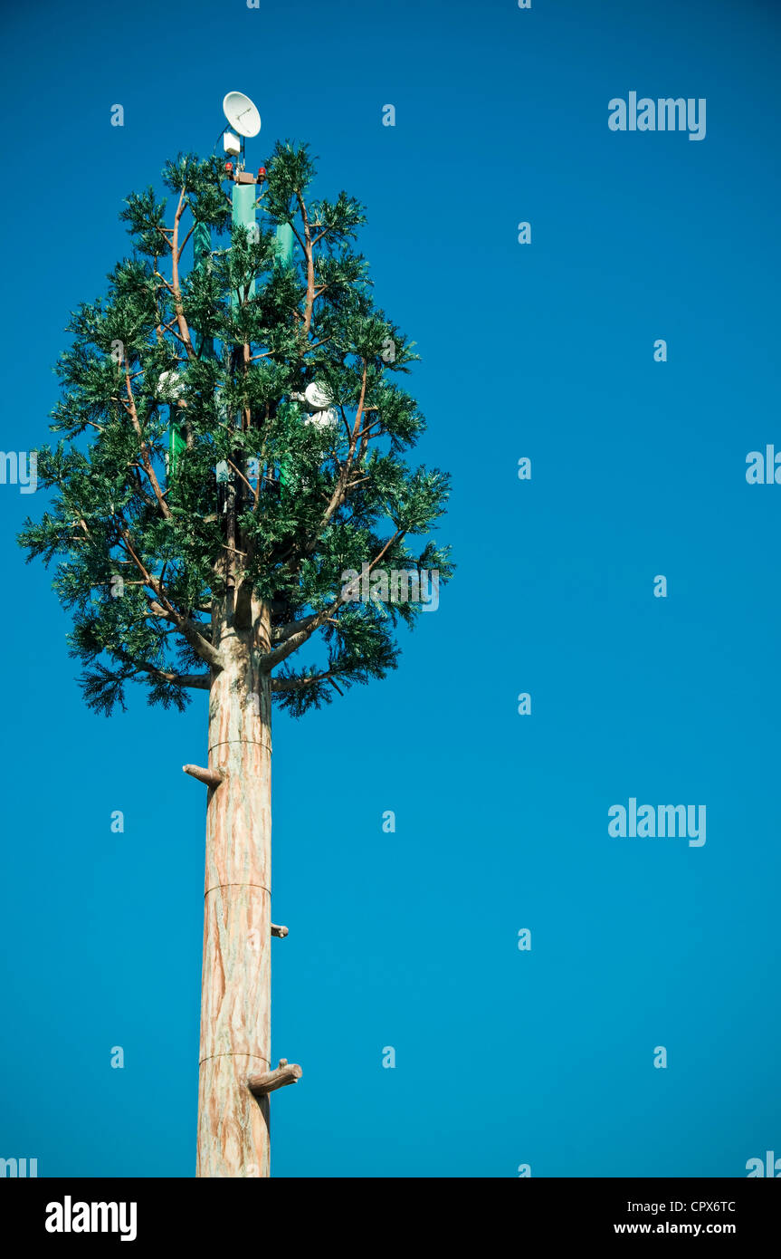 Disguised as tree hi-res stock photography and images - Alamy