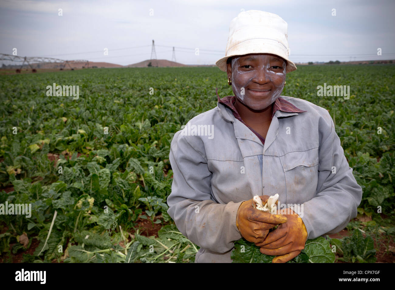 Female farmworker hi-res stock photography and images - Alamy