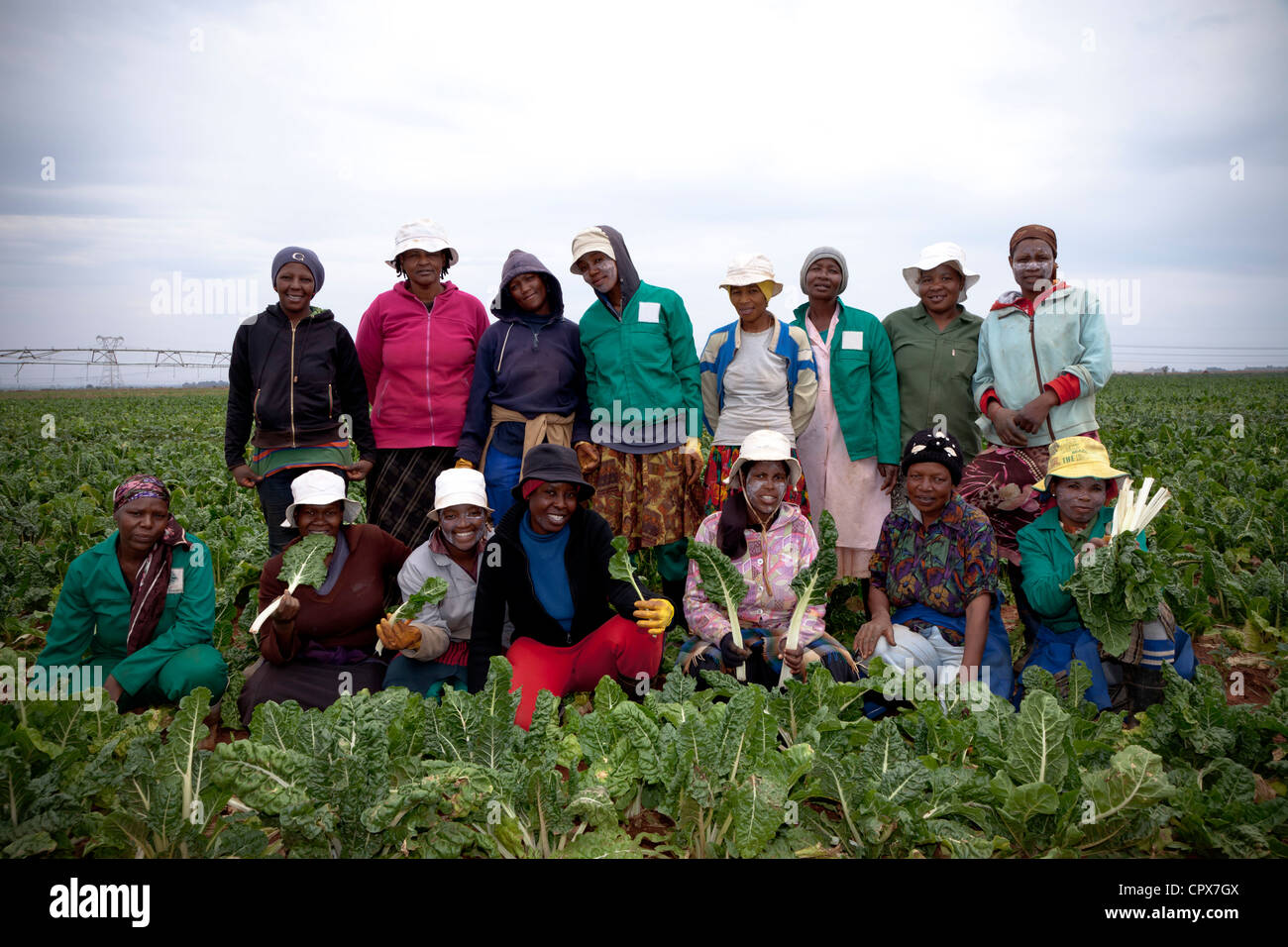 Group of farmworkers poses in a vegetable field Stock Photo - Alamy