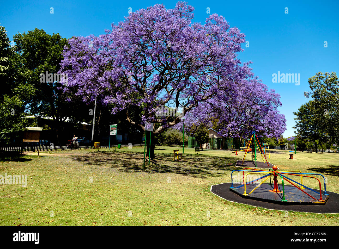 Suburban park hi-res stock photography and images - Alamy