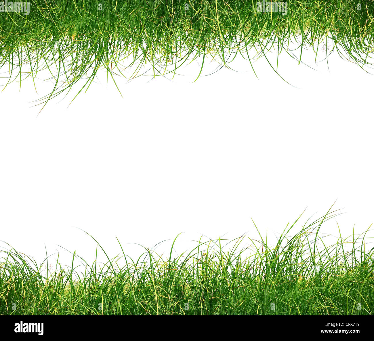 Grass frame isolated on white background Stock Photo - Alamy