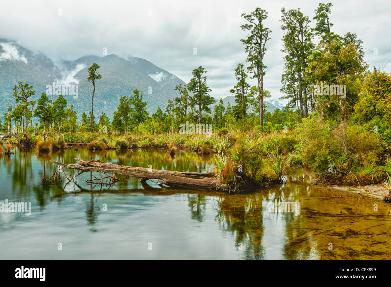 Brunner park hi-res stock photography and images - Alamy
