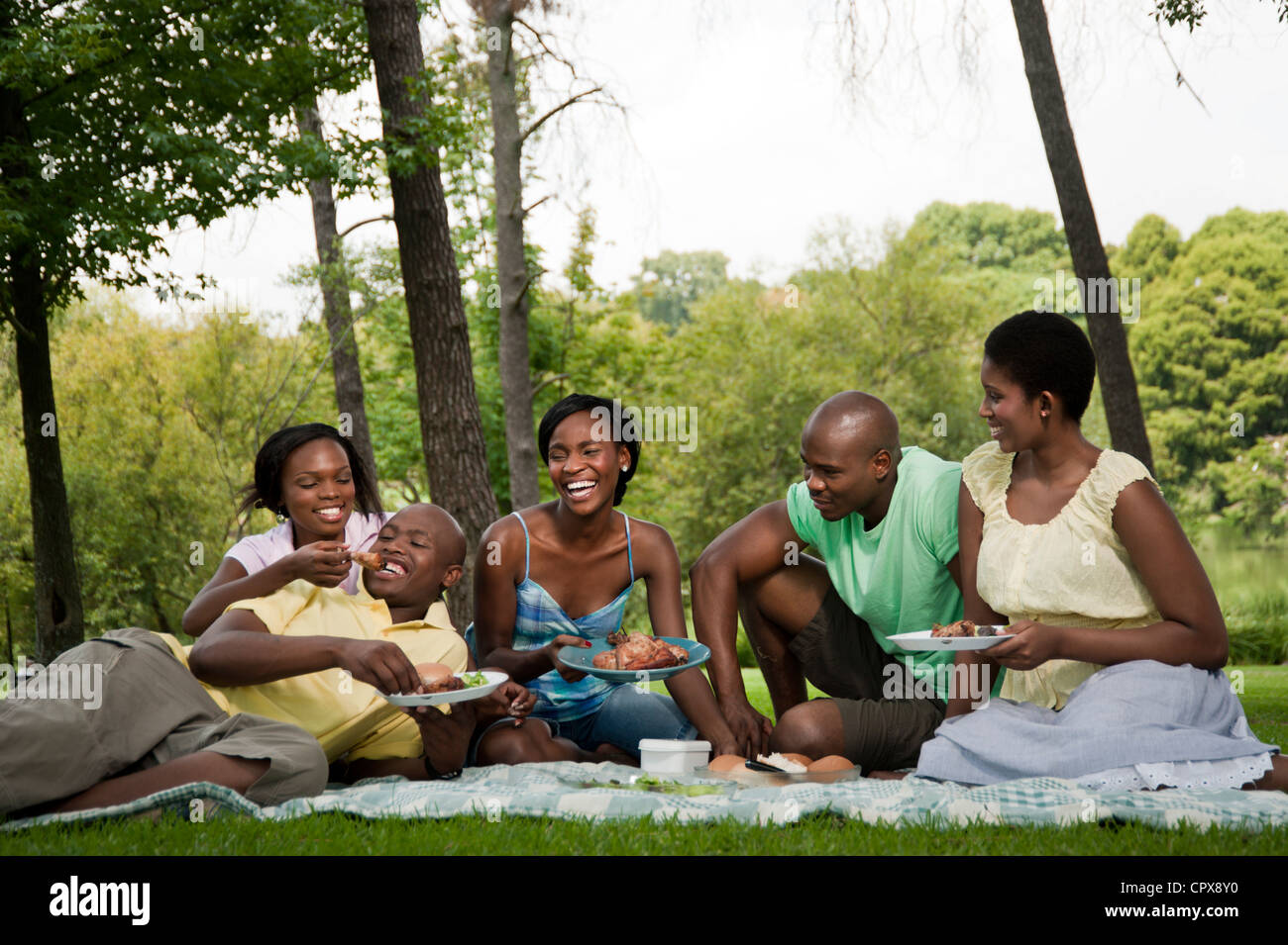 A group of young African friends picnic together in a park Stock Photo ...