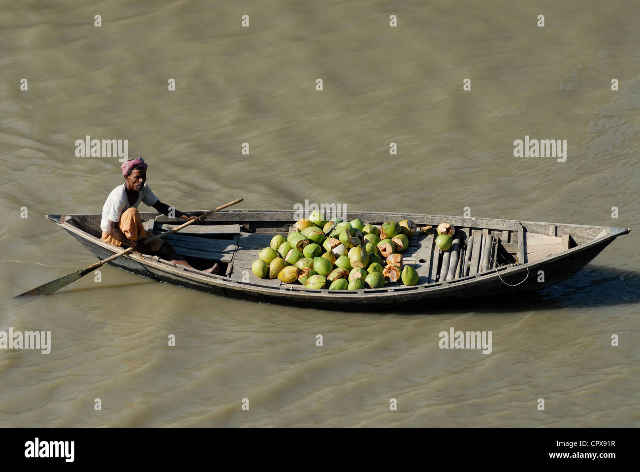 South asia , Bangladesh , boat with coconuts at Ganges river which is ...