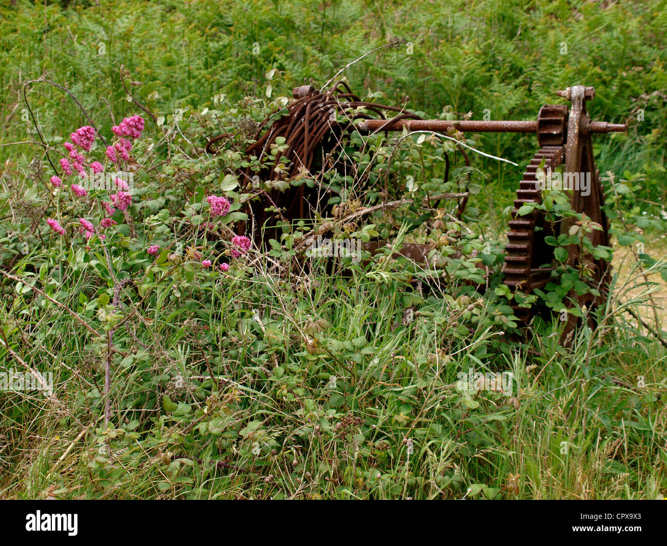 Overgrown Machinery, UK Stock Photo - Alamy