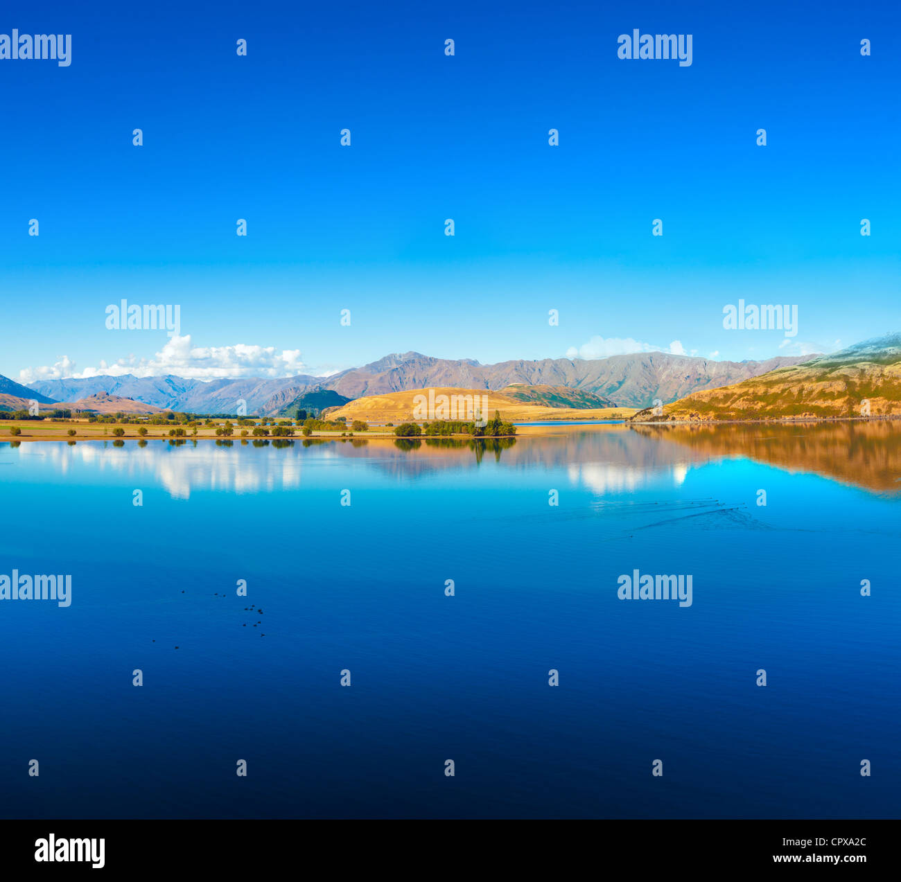 Lake Wanaka at summer sunny day Stock Photo - Alamy