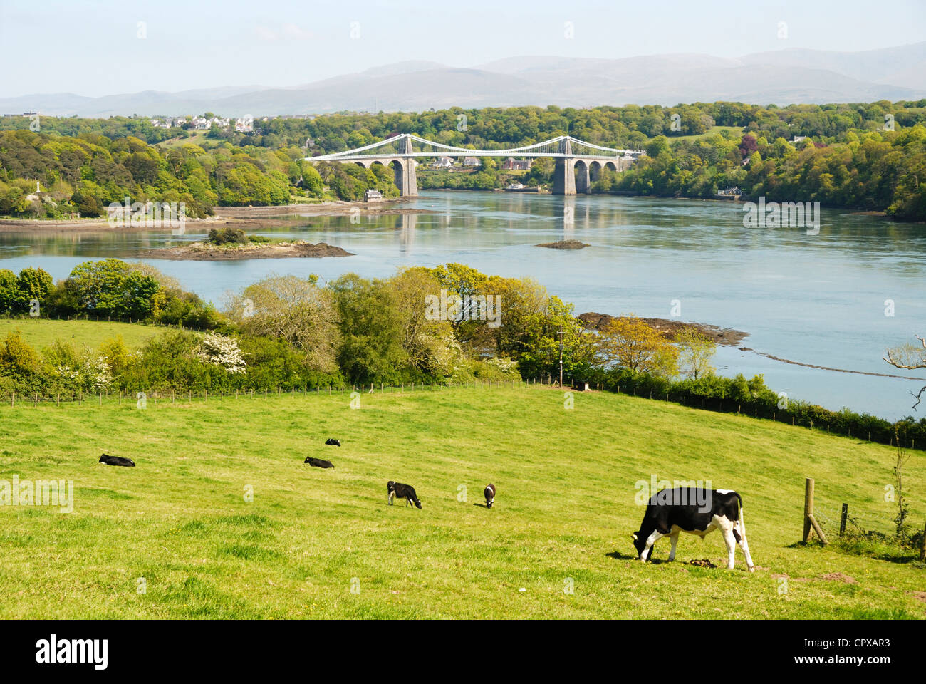 The Menai Bridge spanning the Menai Strait between Anglesey and the ...