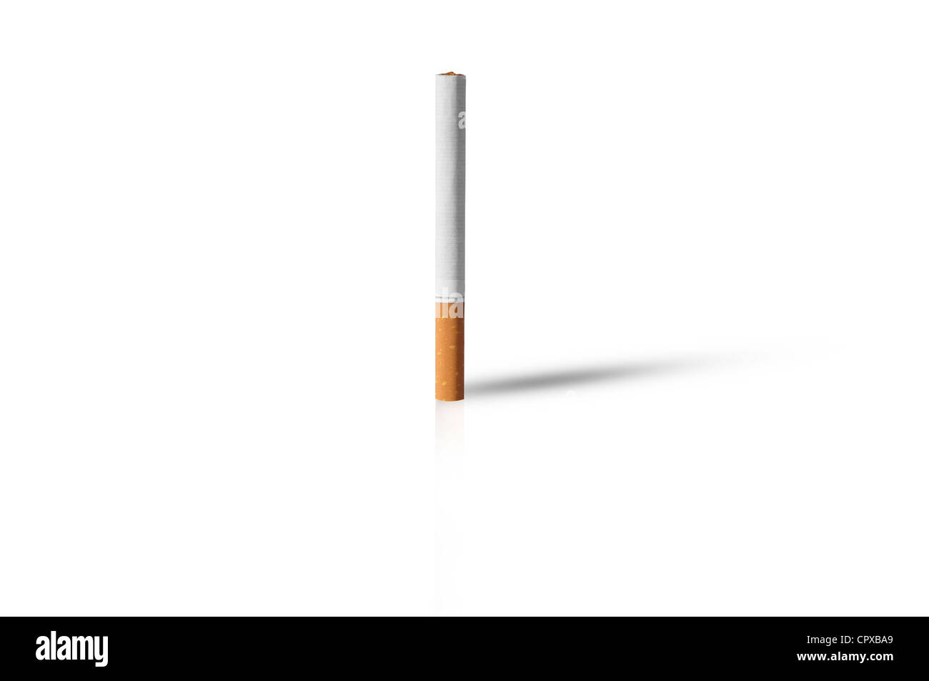 Photo shows a picture of an unused cigarette standing up from its bud ...