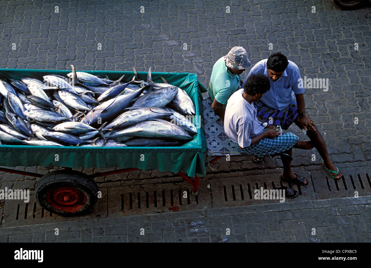 Fish after fishing hi-res stock photography and images - Alamy