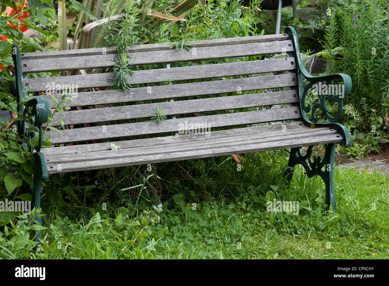 Daisy bench hi-res stock photography and images - Alamy
