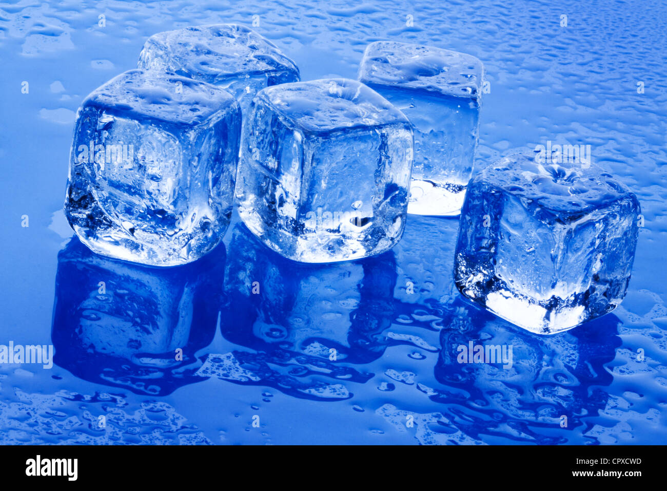 ice cubes in blue background Stock Photo - Alamy