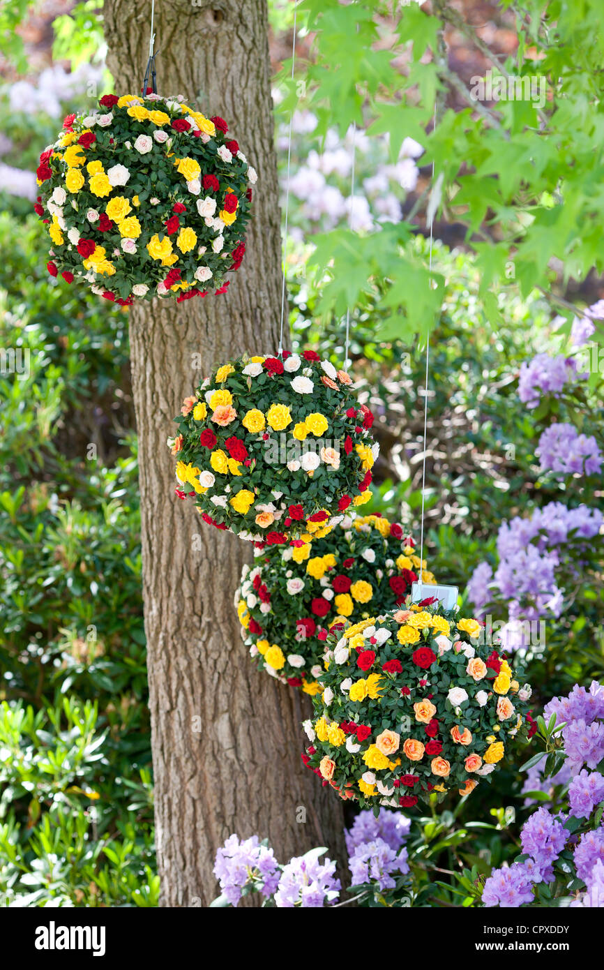 Flower balls hi-res stock photography and images - Alamy