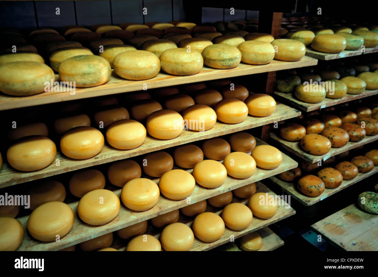 Dutch cheese hi-res stock photography and images - Alamy