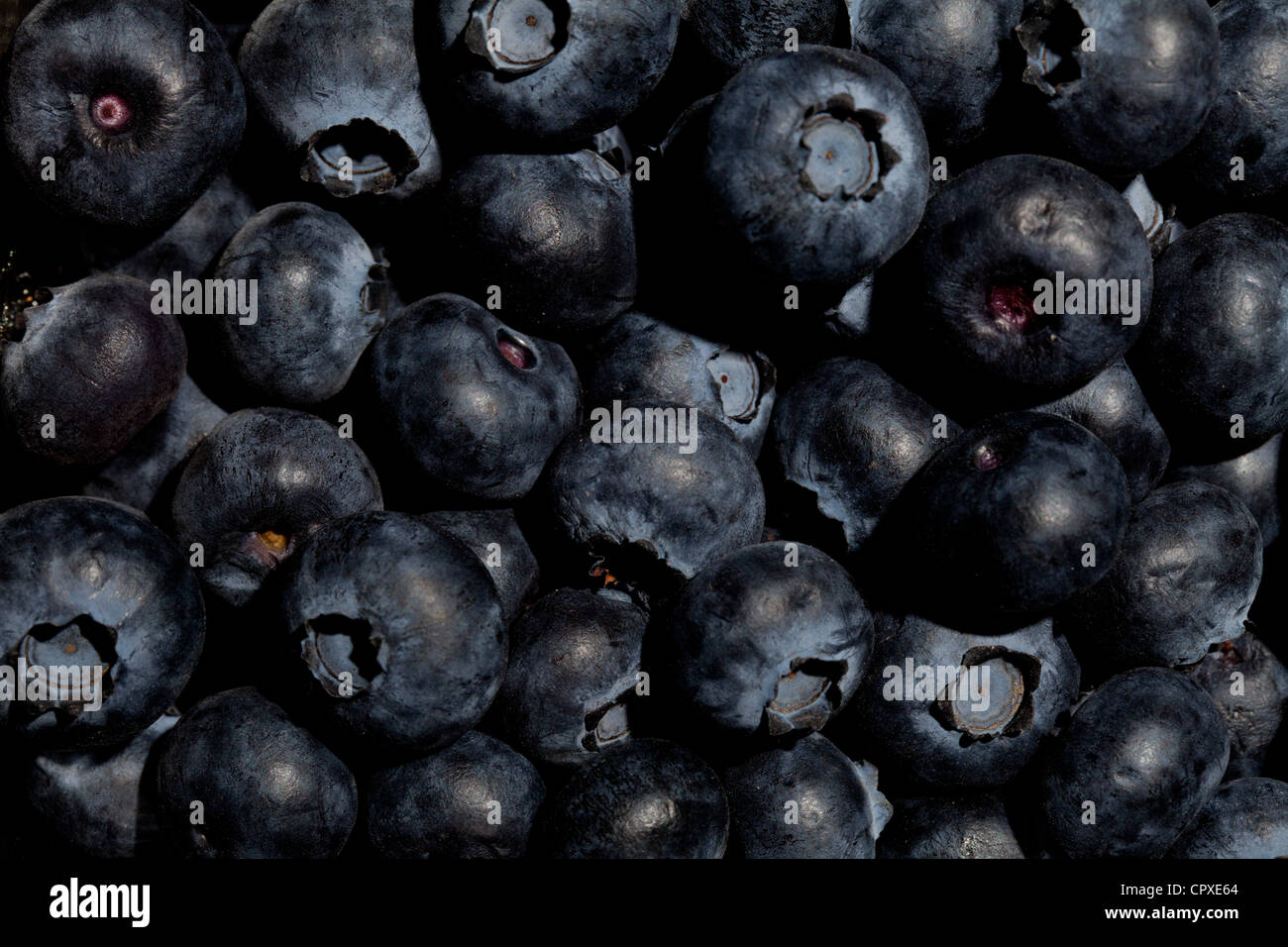 Blueberries in close up Stock Photo - Alamy