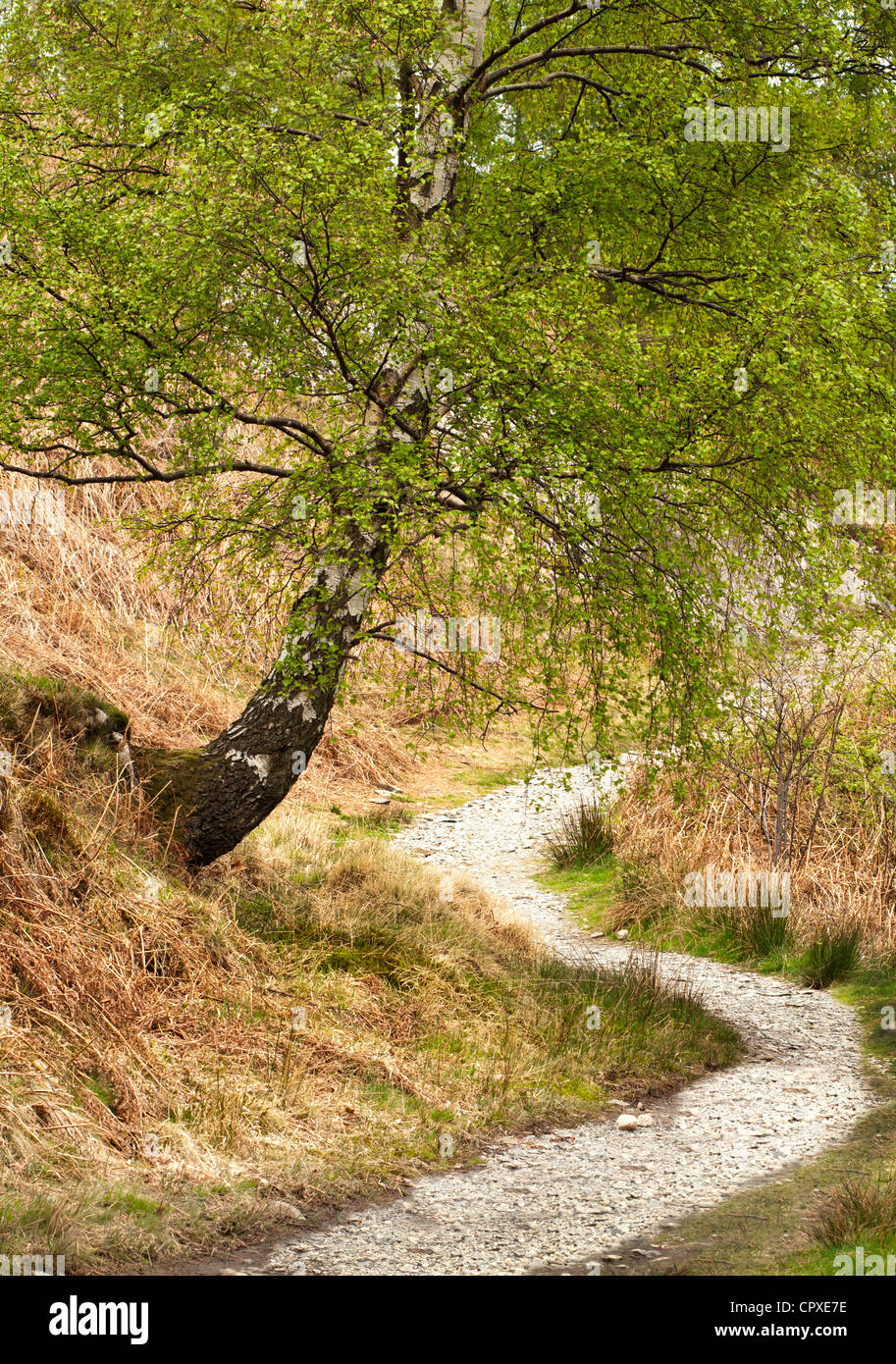 Winding hill footpath hi-res stock photography and images - Alamy