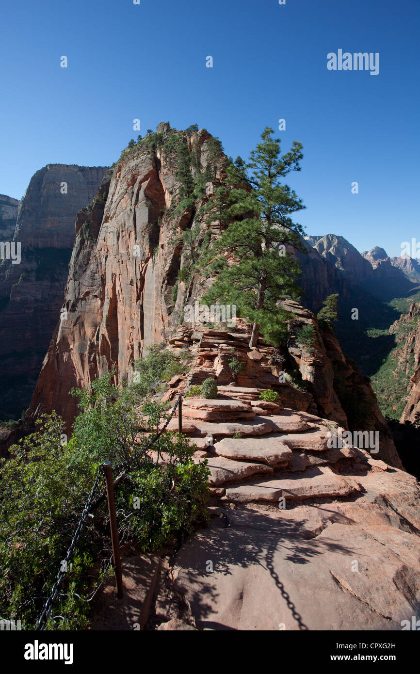 Angels Landing, Zion National Park, Utah Stock Photo - Alamy