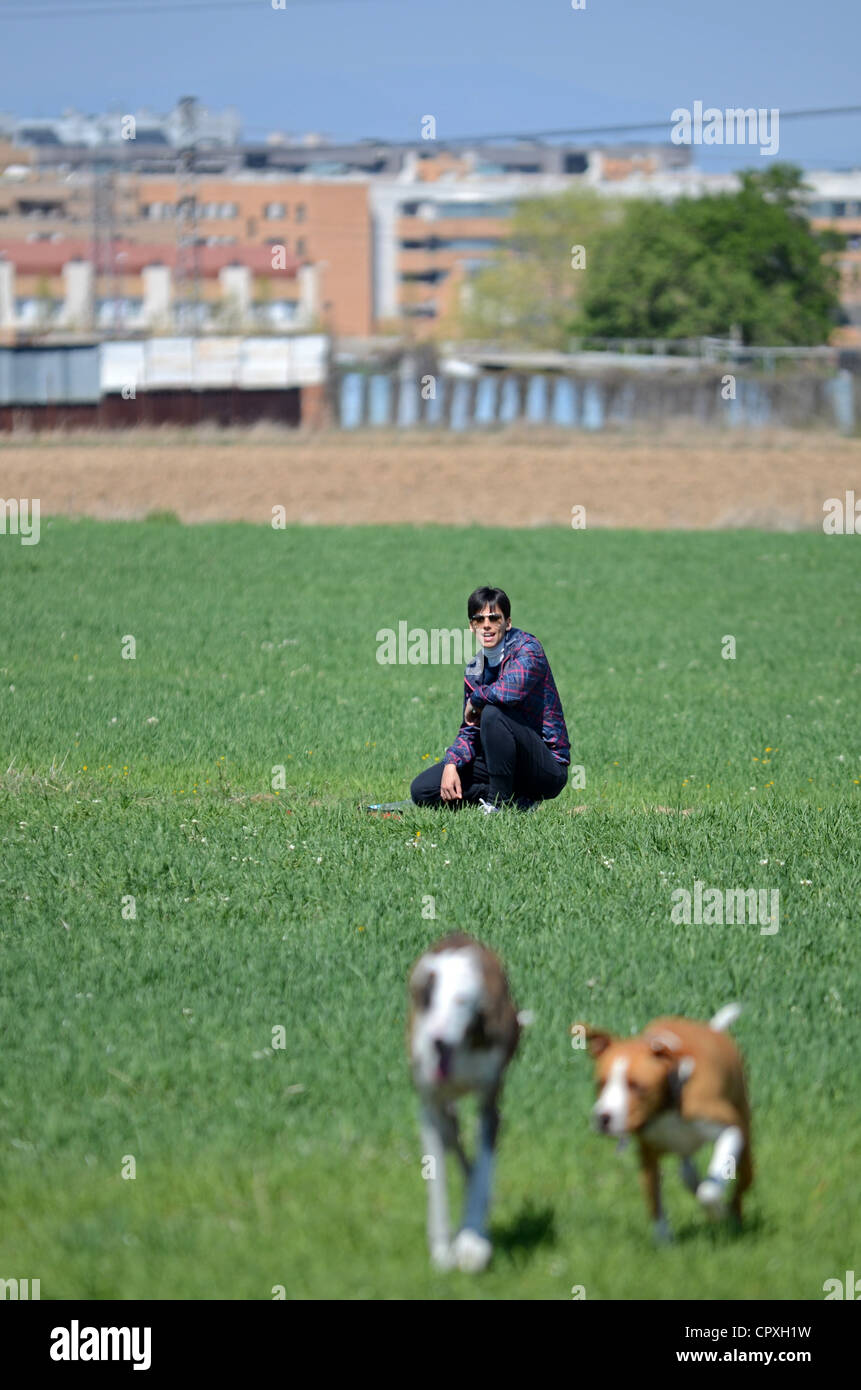 Young woman watches her dogs from the distance Stock Photo - Alamy