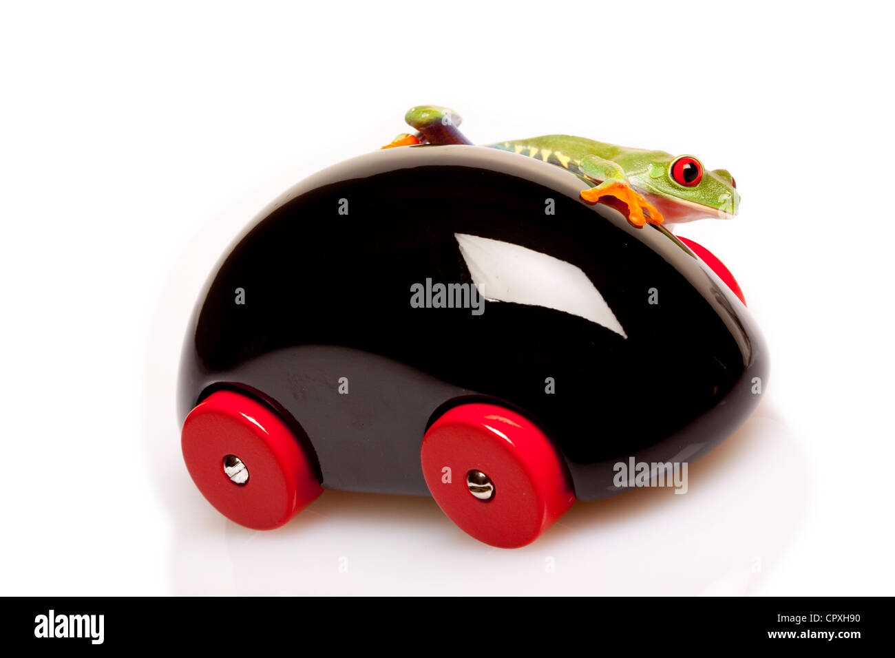 Green happy tree frog in concepts Stock Photo - Alamy