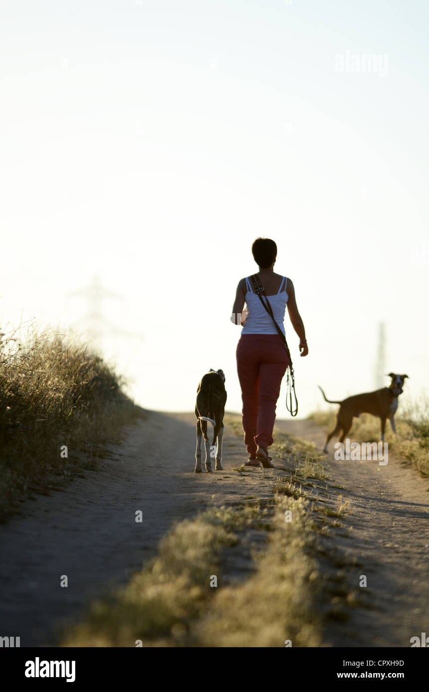 Young woman walking with her dogs in nature, at sunset Stock Photo - Alamy
