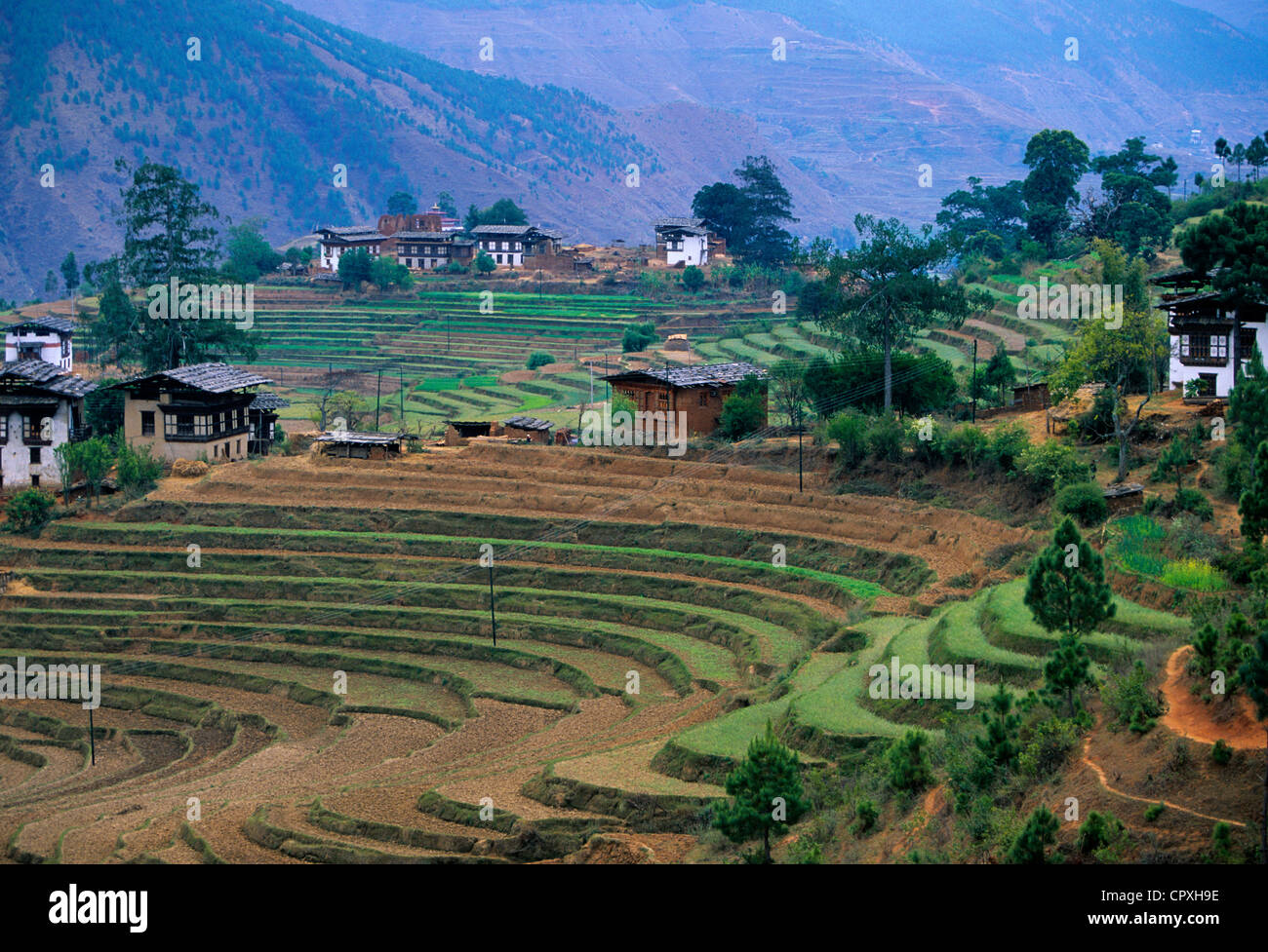 Bhutan Wangdue Phodrang District Wangdiphodrang Valley one of richest ...