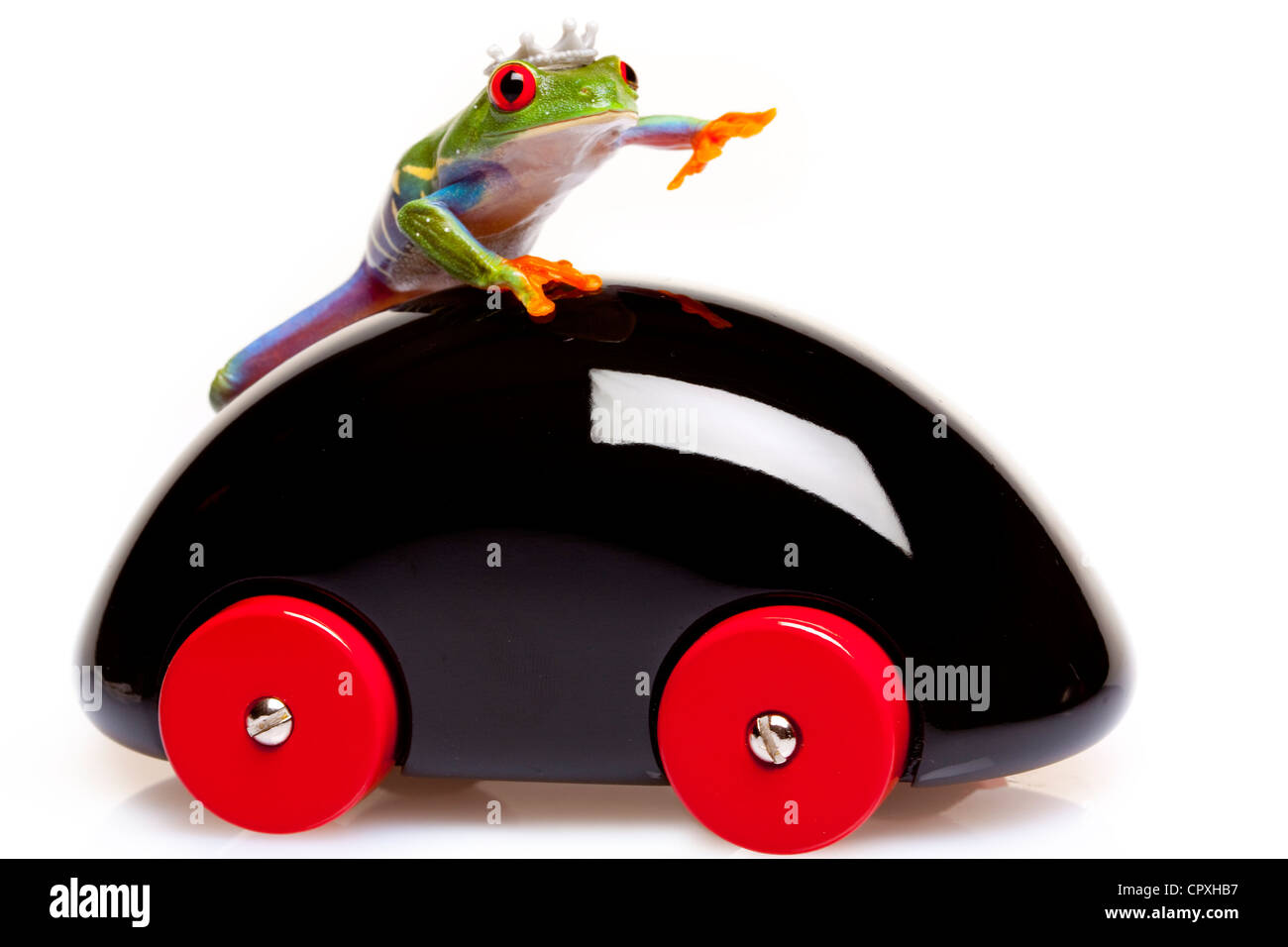 Green happy tree frog in concepts Stock Photo - Alamy