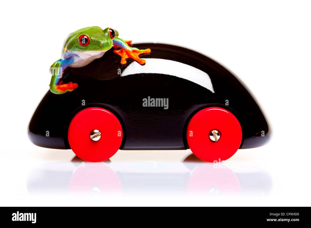 Looking up tree in Cut Out Stock Images & Pictures - Alamy