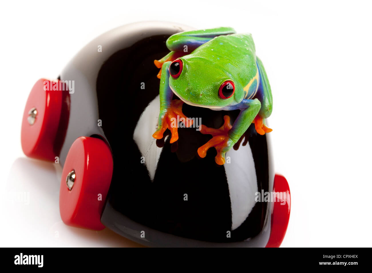 Green happy tree frog in concepts Stock Photo - Alamy