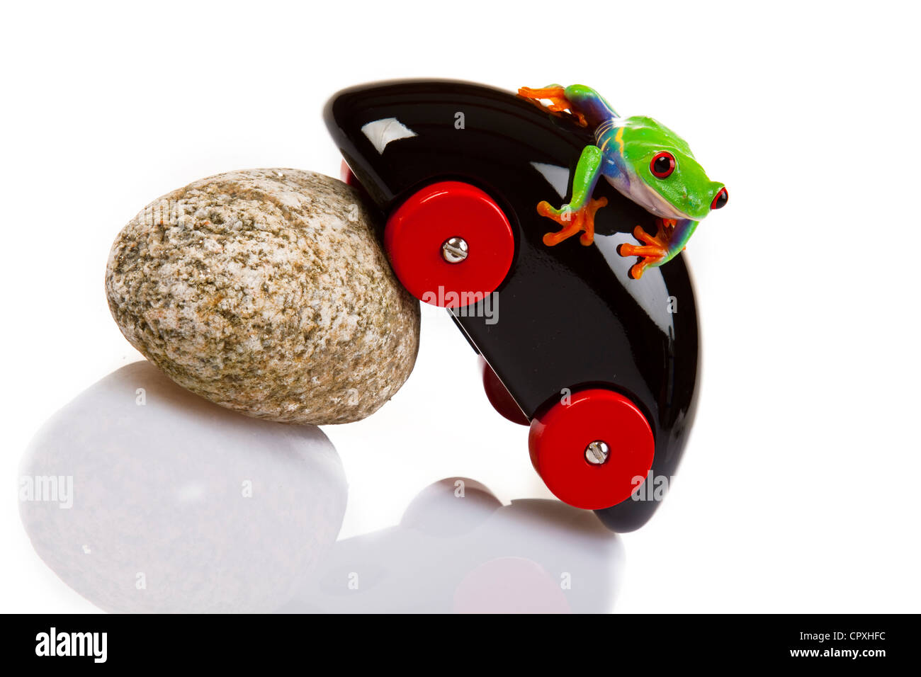 Green happy tree frog in concepts Stock Photo - Alamy