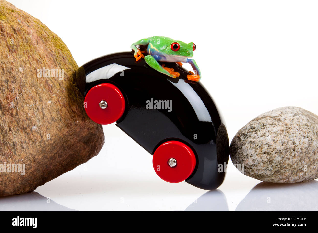 Green happy tree frog in concepts Stock Photo - Alamy