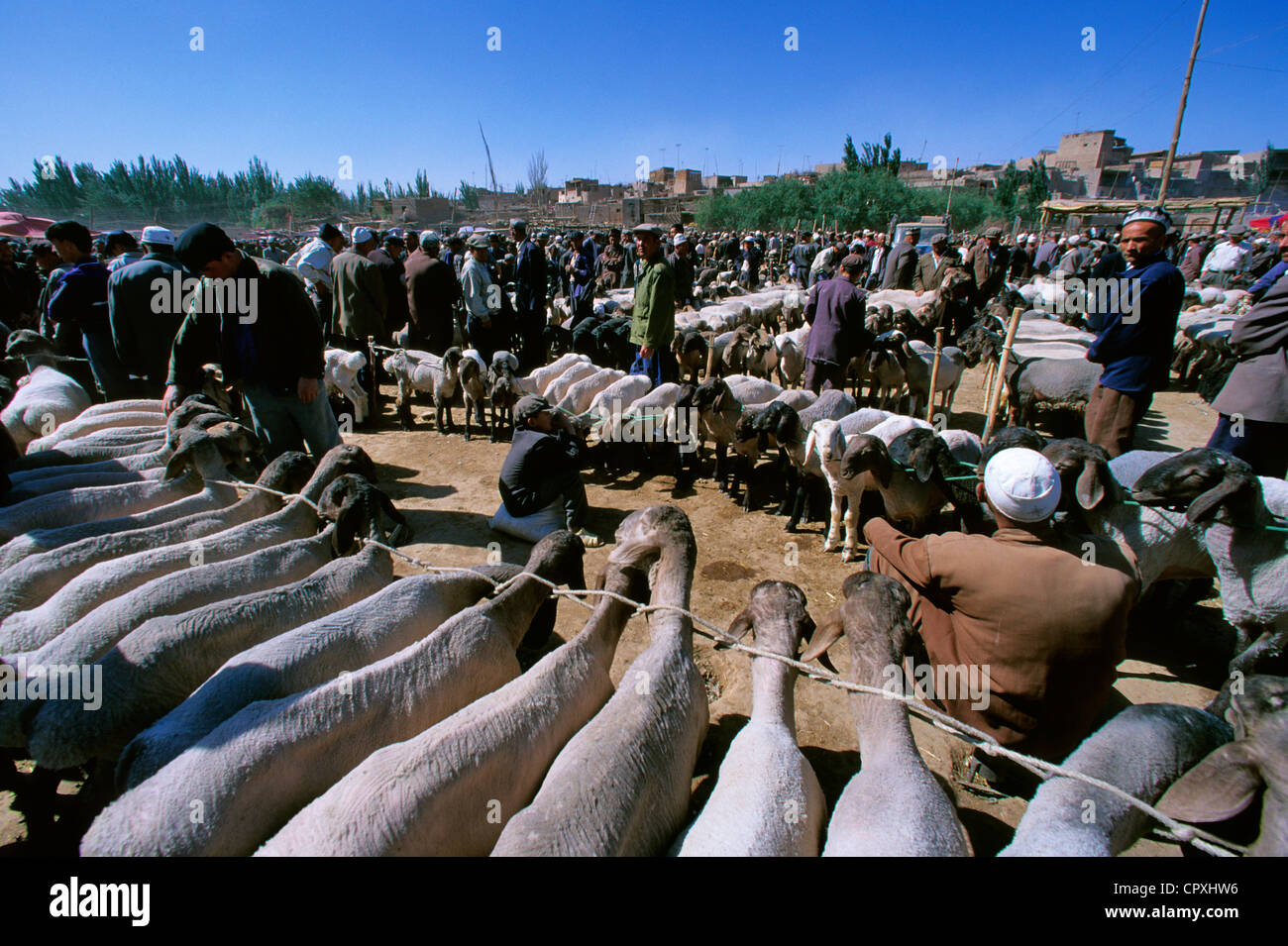 China, Xinjiang Province, Kashgar (Kashi), Old city bazaar, Ouigour ...