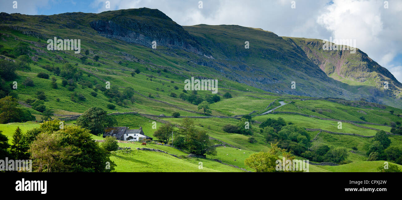 Hill farm near Ambleside in the Lake District National Park, Cumbria ...