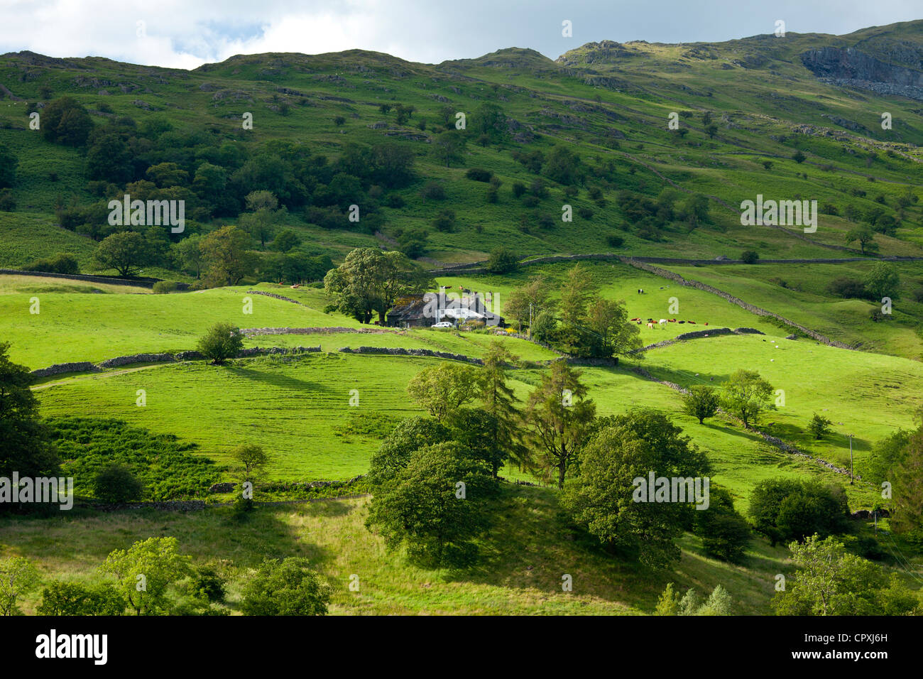 Hill farm near Ambleside in the Lake District National Park, Cumbria ...
