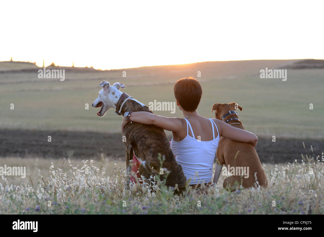 Young woman sitting in nature with her dogs, at sunset Stock Photo - Alamy