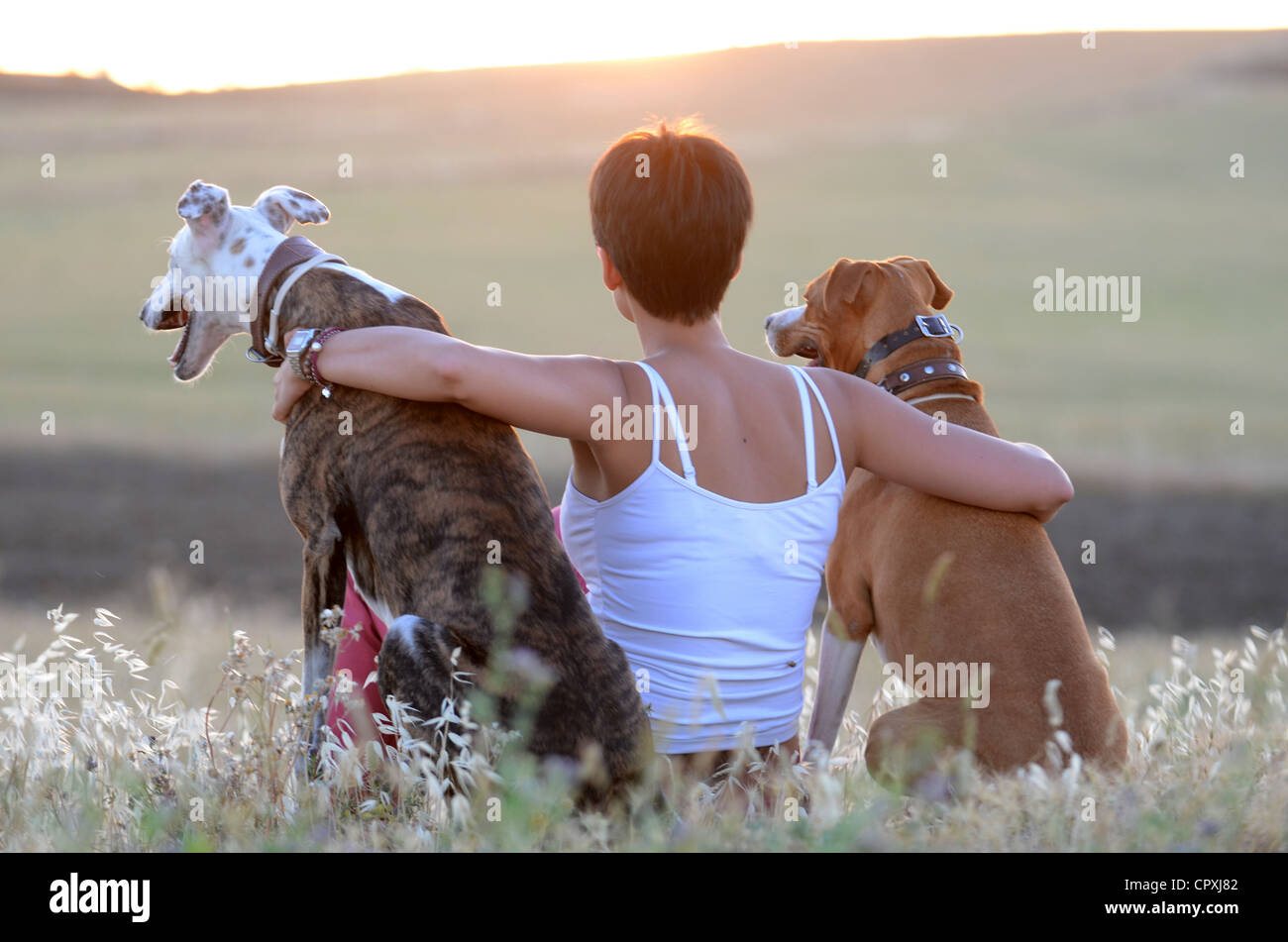 Young woman sitting in nature with her dogs, at sunset Stock Photo - Alamy