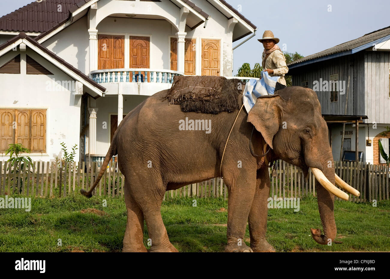 Elephant back ride hi-res stock photography and images - Alamy
