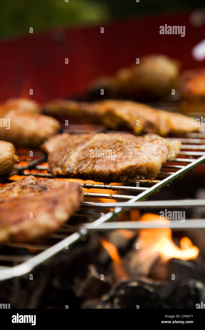 Closeup of fried meat on grill Stock Photo - Alamy