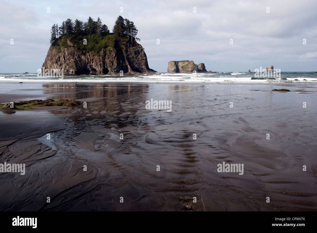 Second Beach - La Push, Washington, USA Stock Photo - Alamy