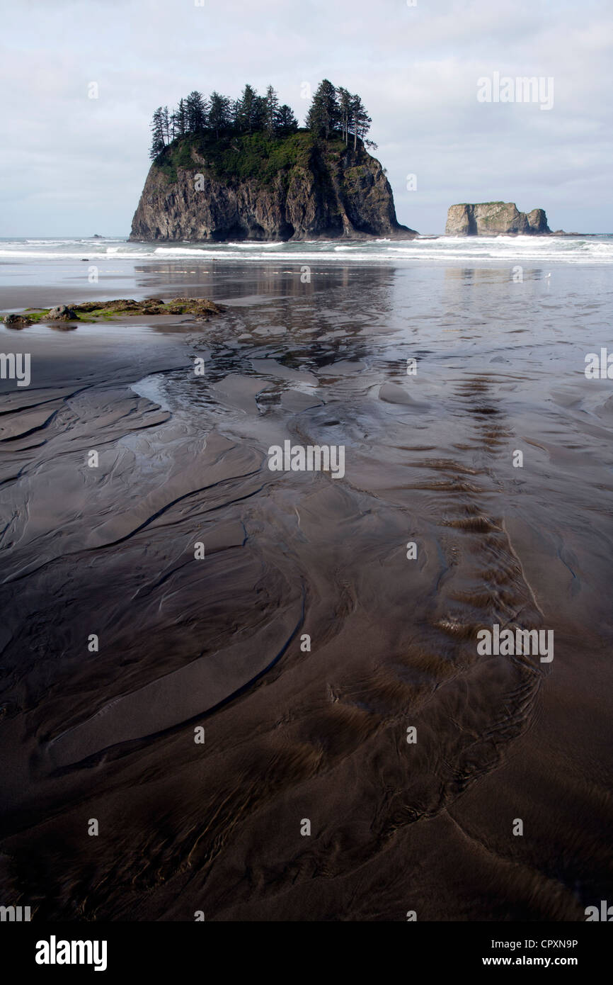 Second Beach - La Push, Washington, USA Stock Photo - Alamy