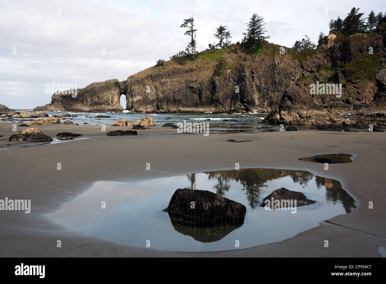 Second Beach - La Push, Washington, USA Stock Photo - Alamy