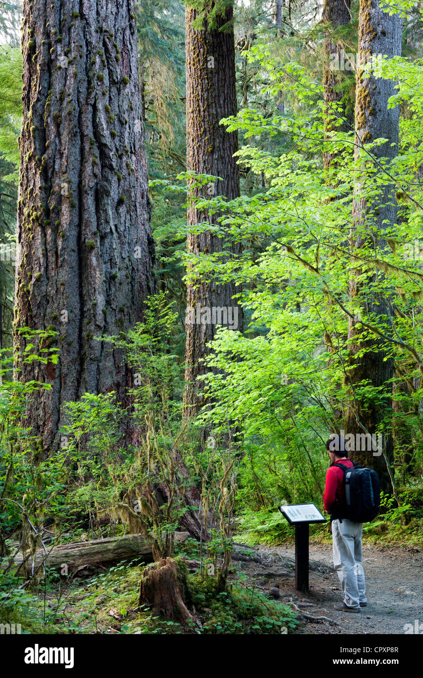 Backpacker rainforest hi-res stock photography and images - Alamy