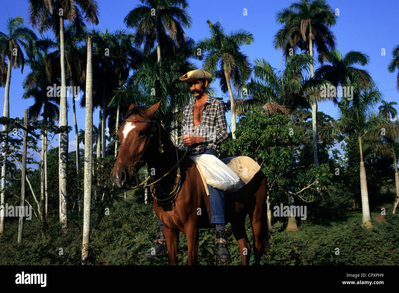 Guajiro hi-res stock photography and images - Alamy